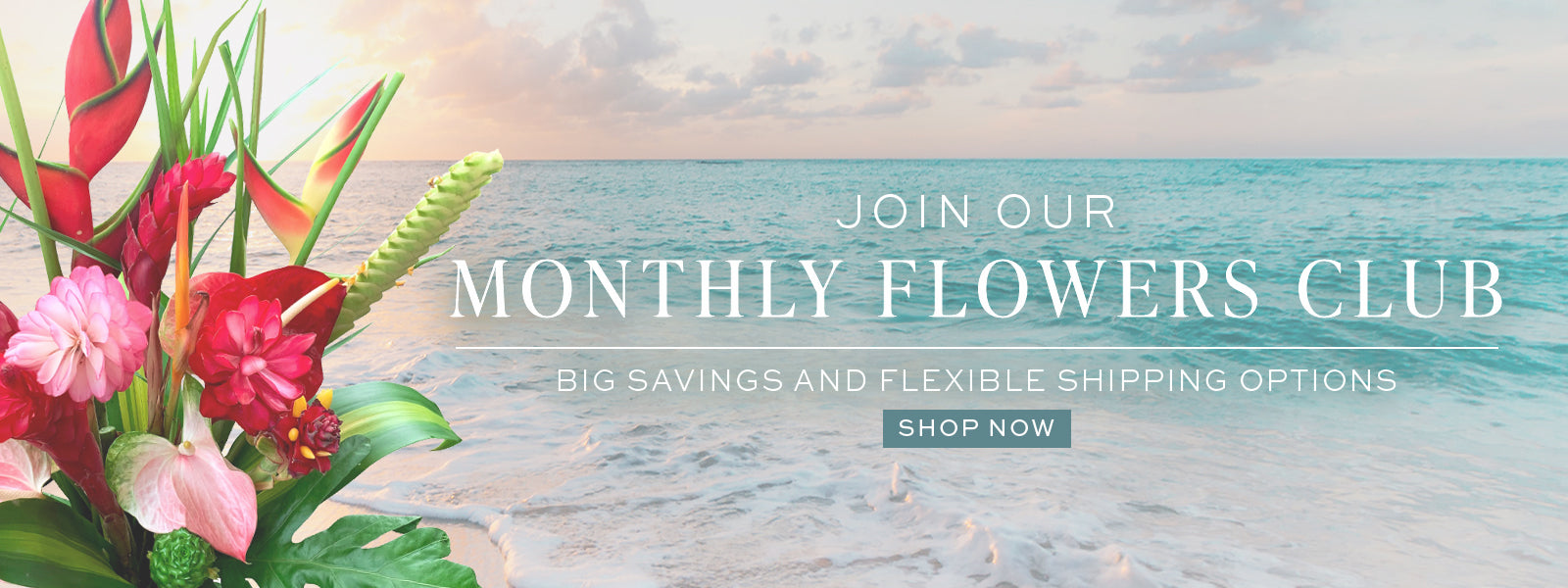 Monthly flowers are back!