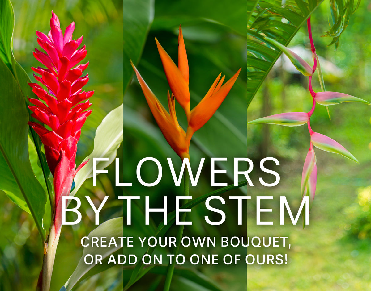 Fresh Hawaiian Flowers & Hawaiian Leis delivered Nationwide