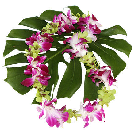 Fresh orchid leis BULK